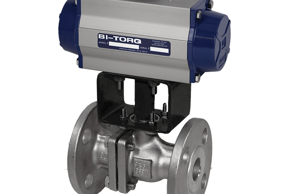 BI-TORQ® Archives - Sanitary Fittings