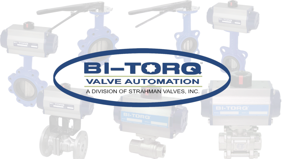 Why BI-TORQ® Valves Stand Out in Facilities - Sanitary Fittings